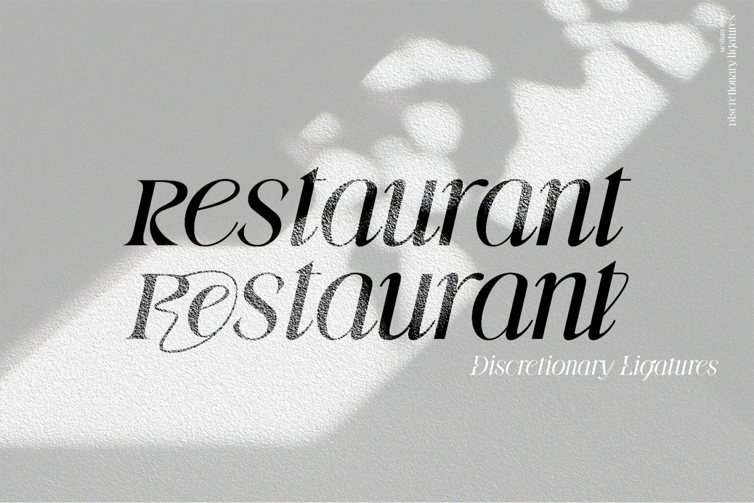 GIBEon Display Serif Family – MasterBundles