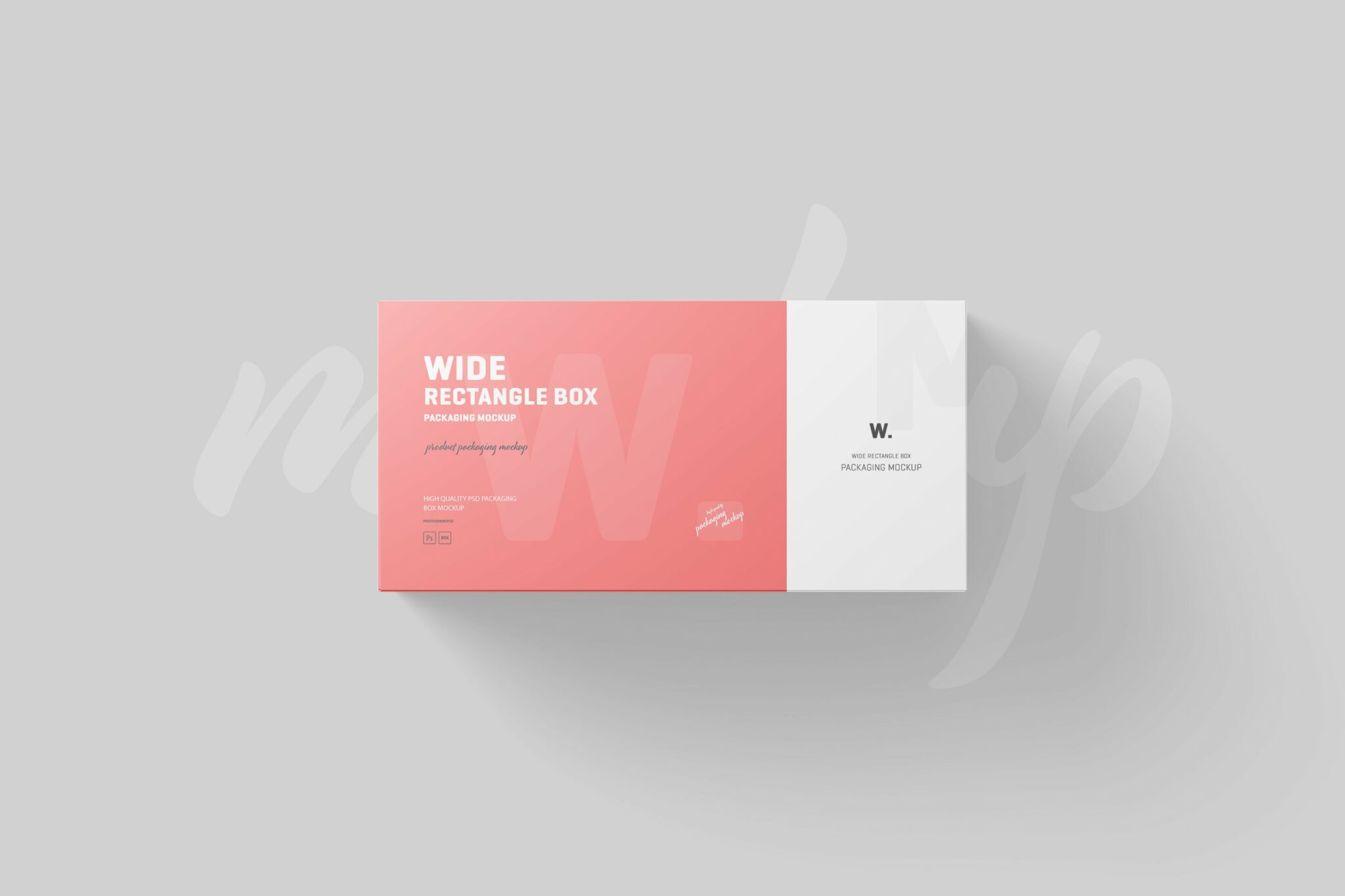 Wide Rectangle Box Packaging Mockup – MasterBundles