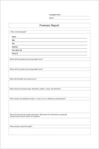 25 Best Police Report Templates for 2023 – MasterBundles