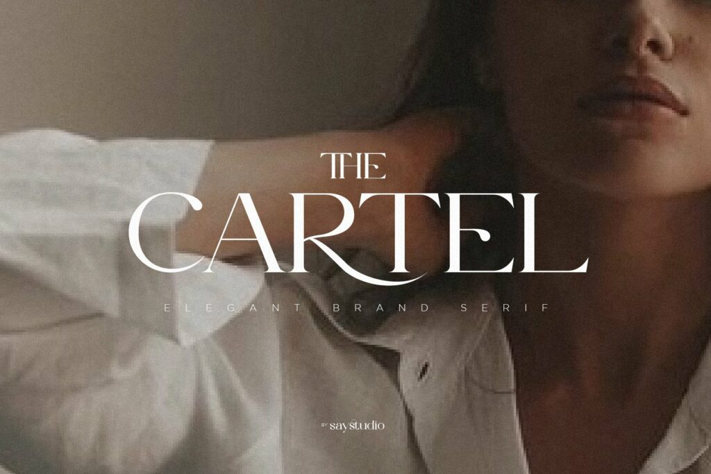 The Cartel - Elegant Serif Font – MasterBundles