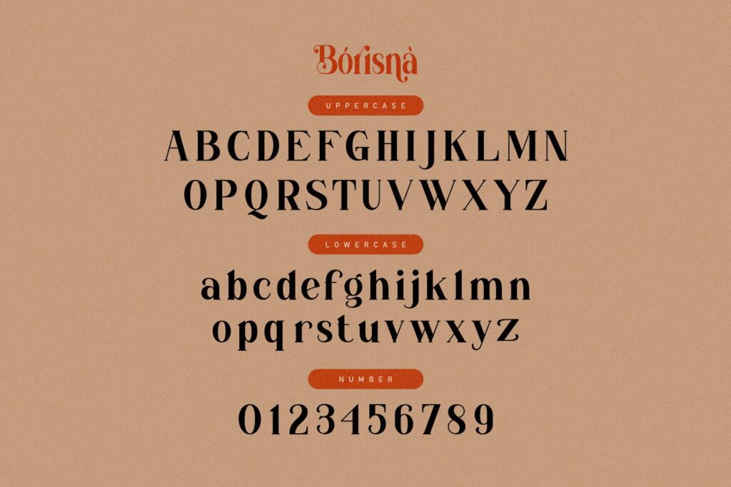 Borisna - Modern Display Serif Font – MasterBundles