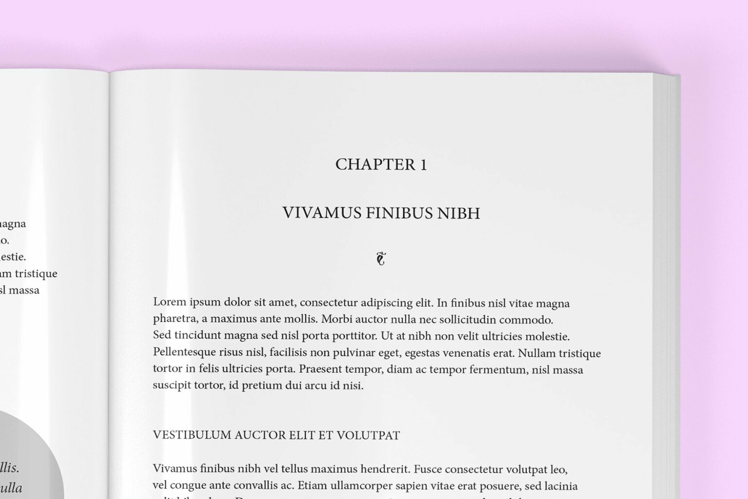 Paperback Book Mockup - 6x9 inch – MasterBundles