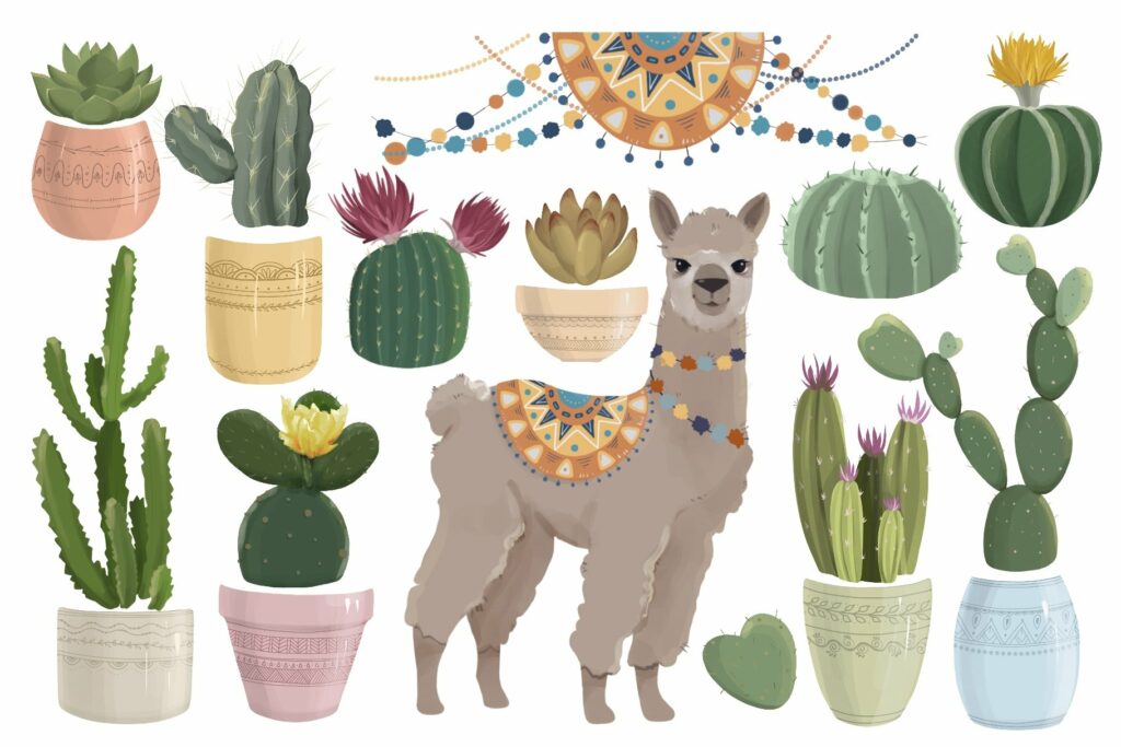 Cacti and LLama Illustration – MasterBundles