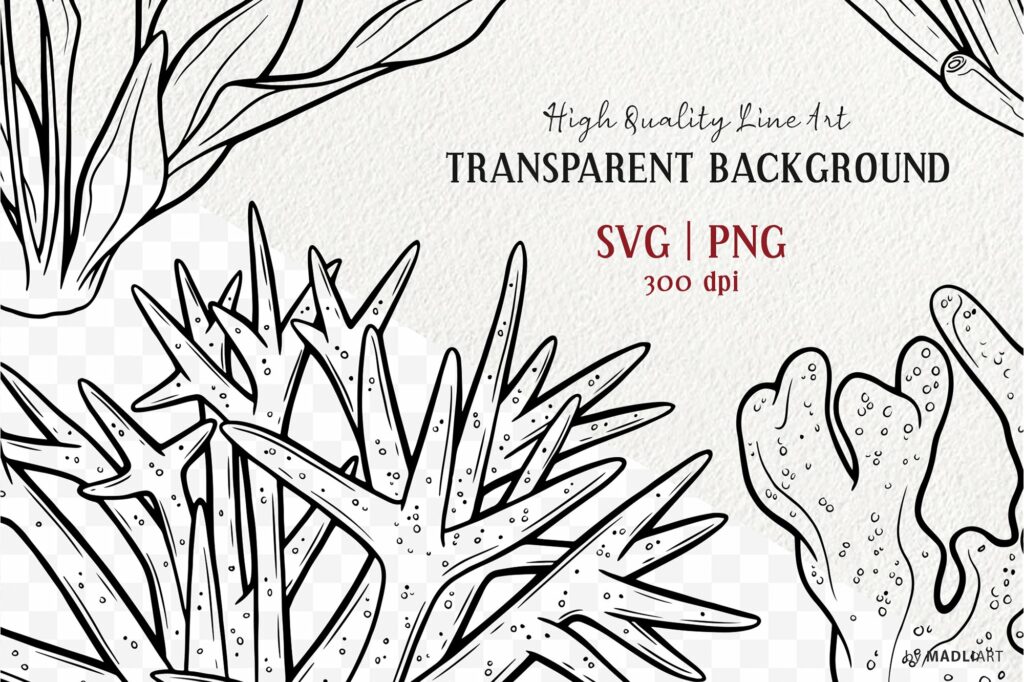 Corals & Seaweed Vector Line Art – MasterBundles