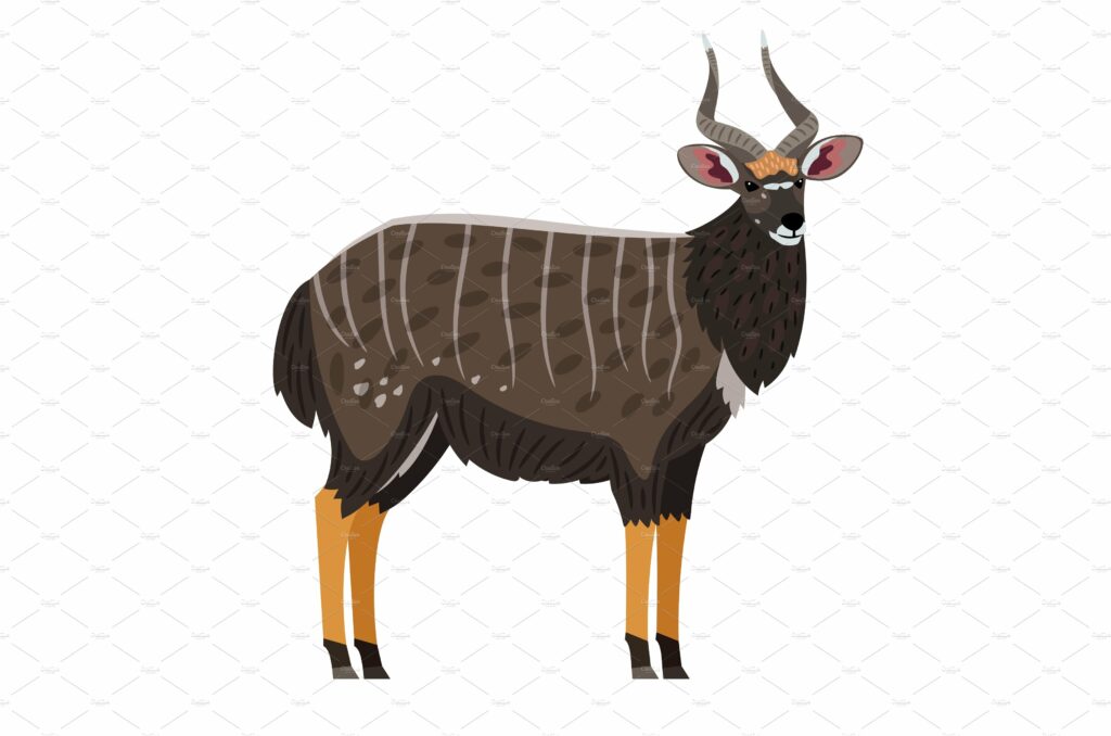 African Antelope cartoon icon – MasterBundles