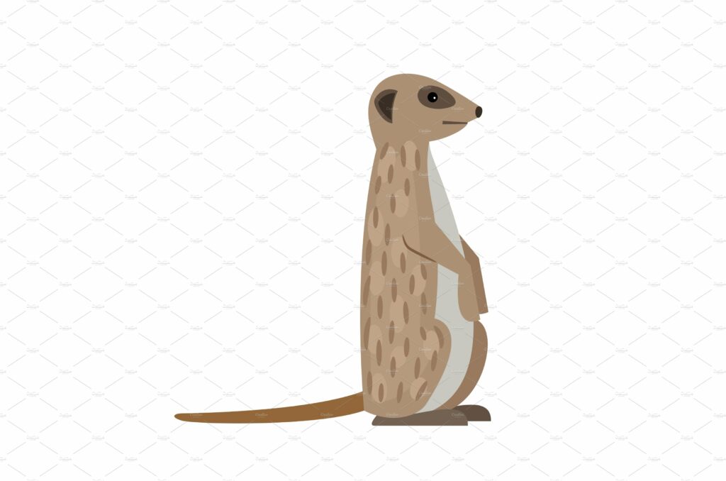 Desert meerkat cartoon animal – MasterBundles