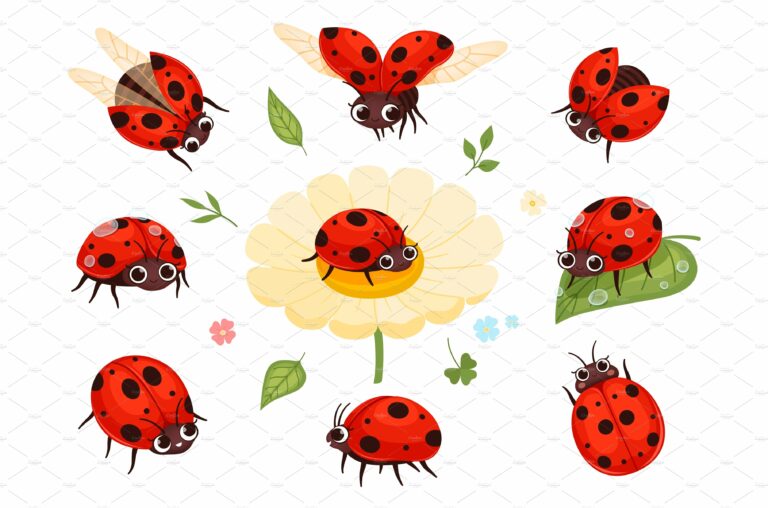 Red ladybugs. View nature bugs – MasterBundles