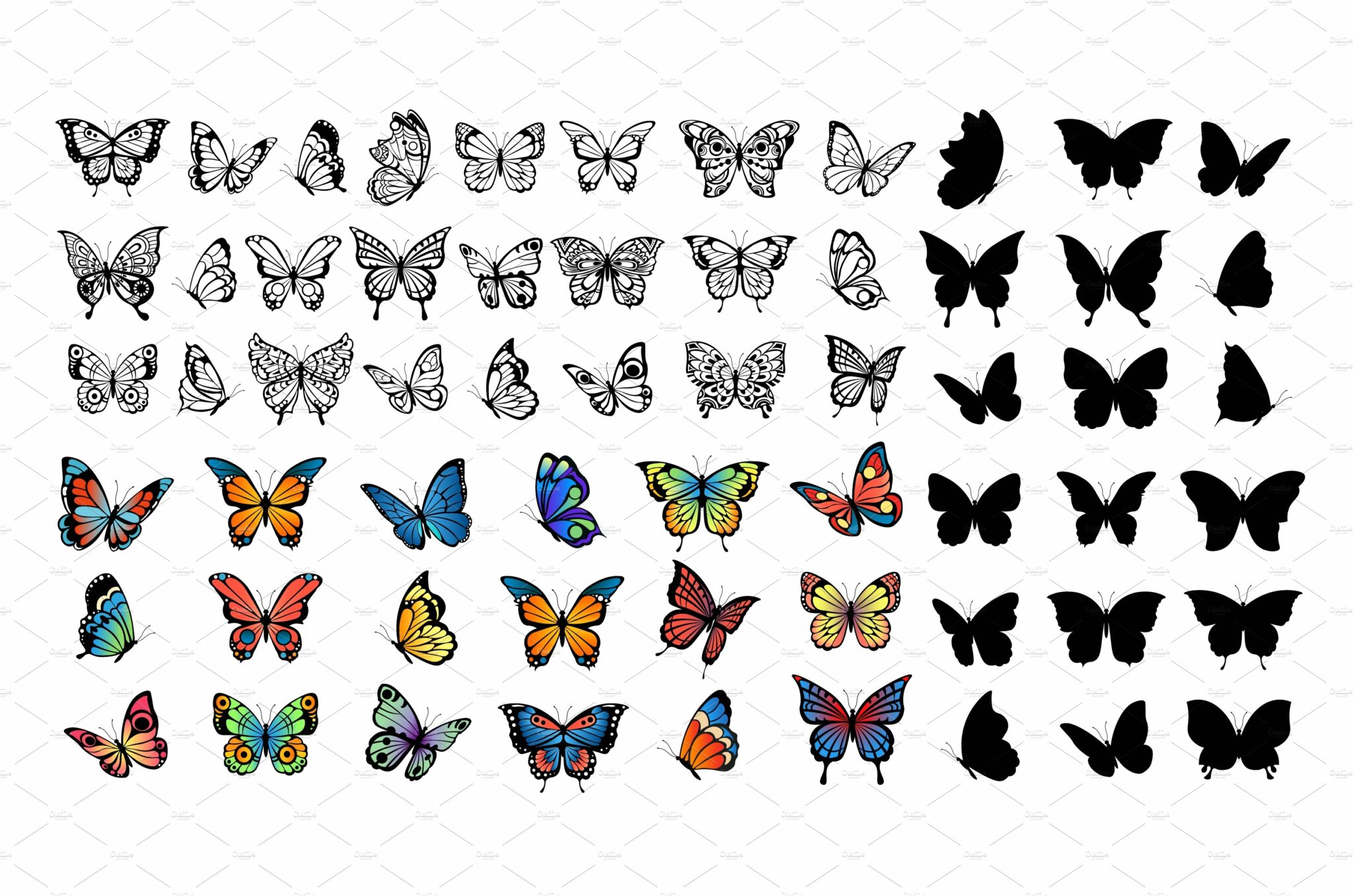 Butterfly collection. Drawing – MasterBundles