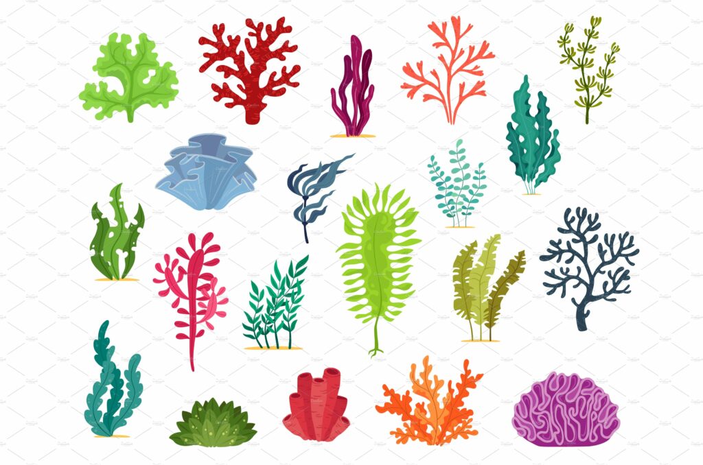 Underwater seaweed plants, algae – MasterBundles