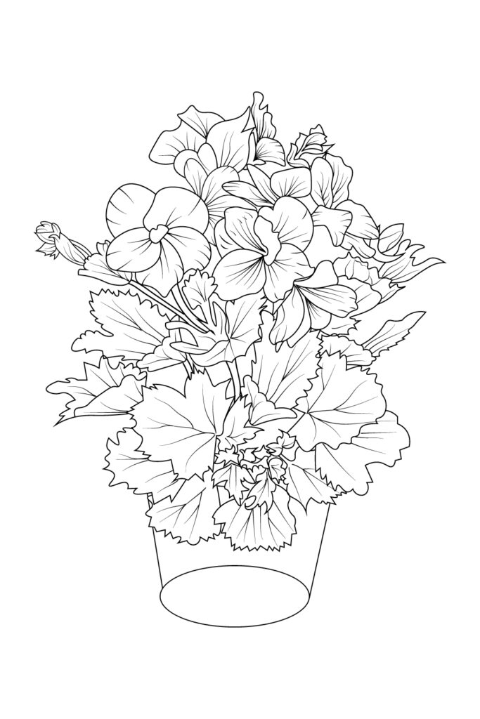 Drawing geranium illustration, geranium flower bouquet, line art ...
