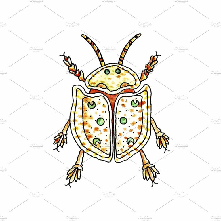 Bugs Watercolor Clipart, Insects – MasterBundles