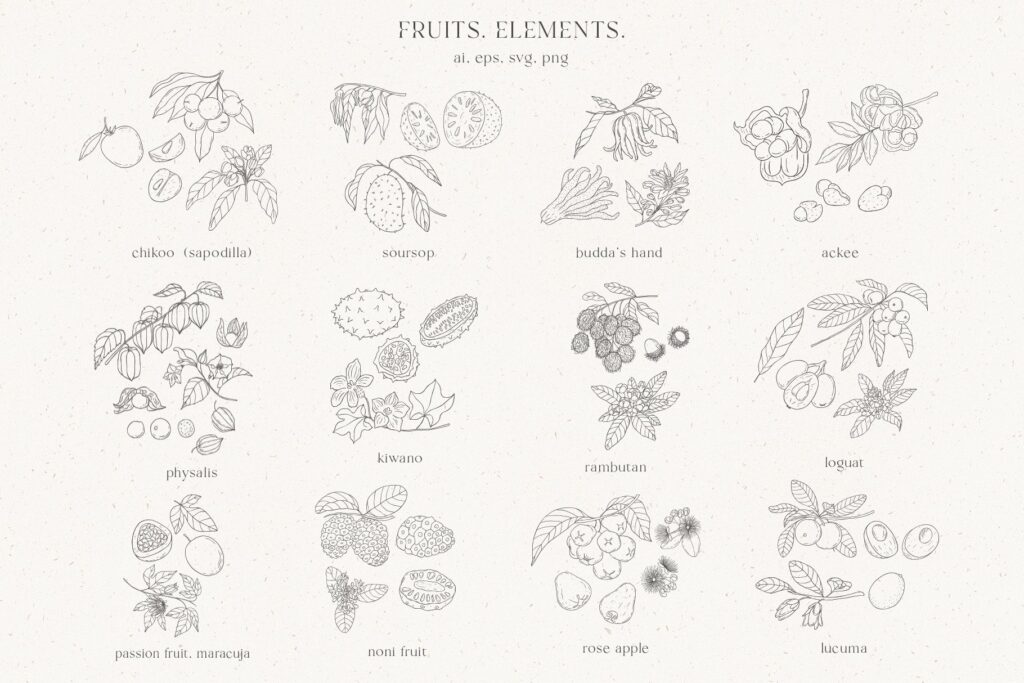 Fruits & Flowers. Nuts & Berries. – MasterBundles