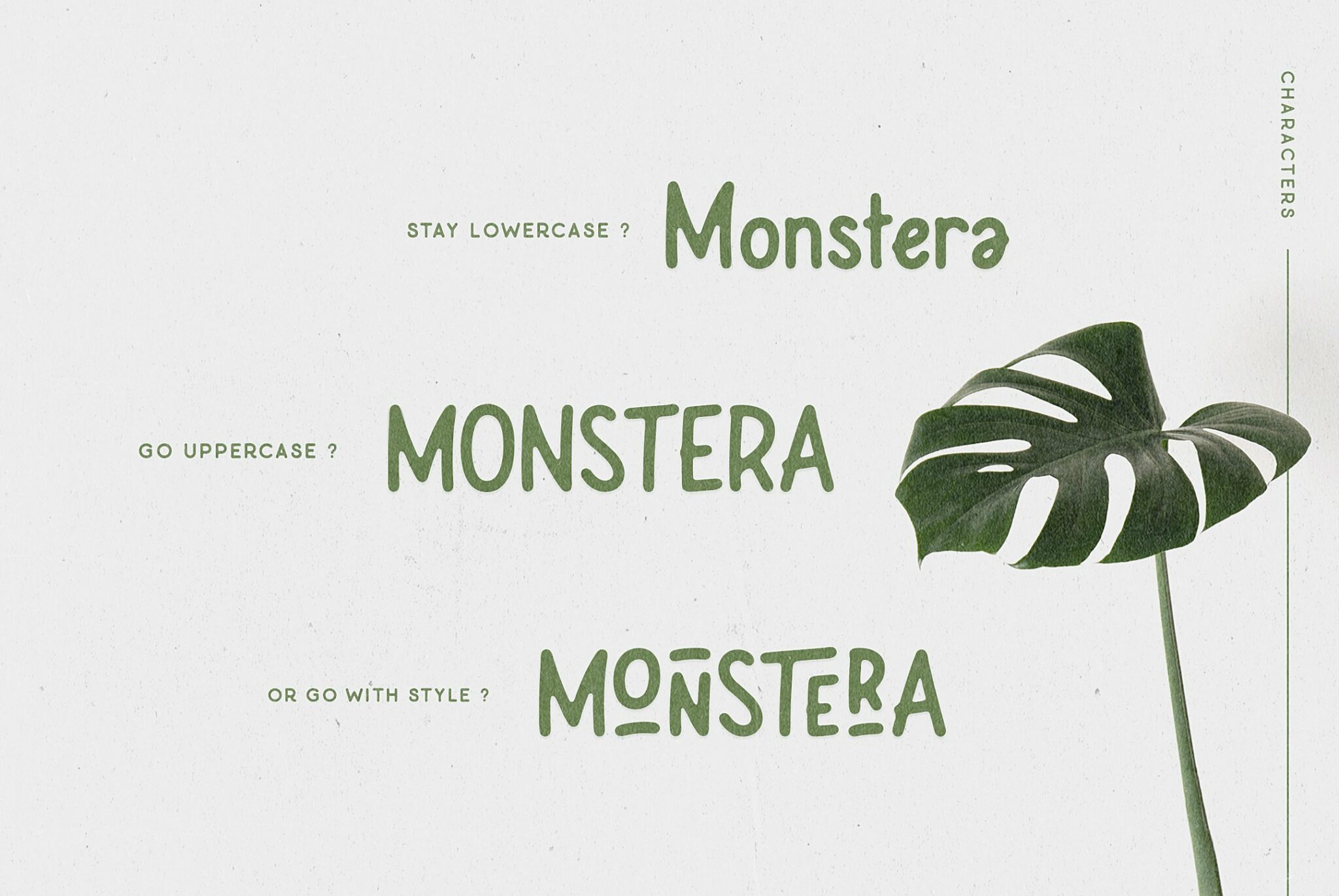 Leafy Plant Fun Typeface – MasterBundles