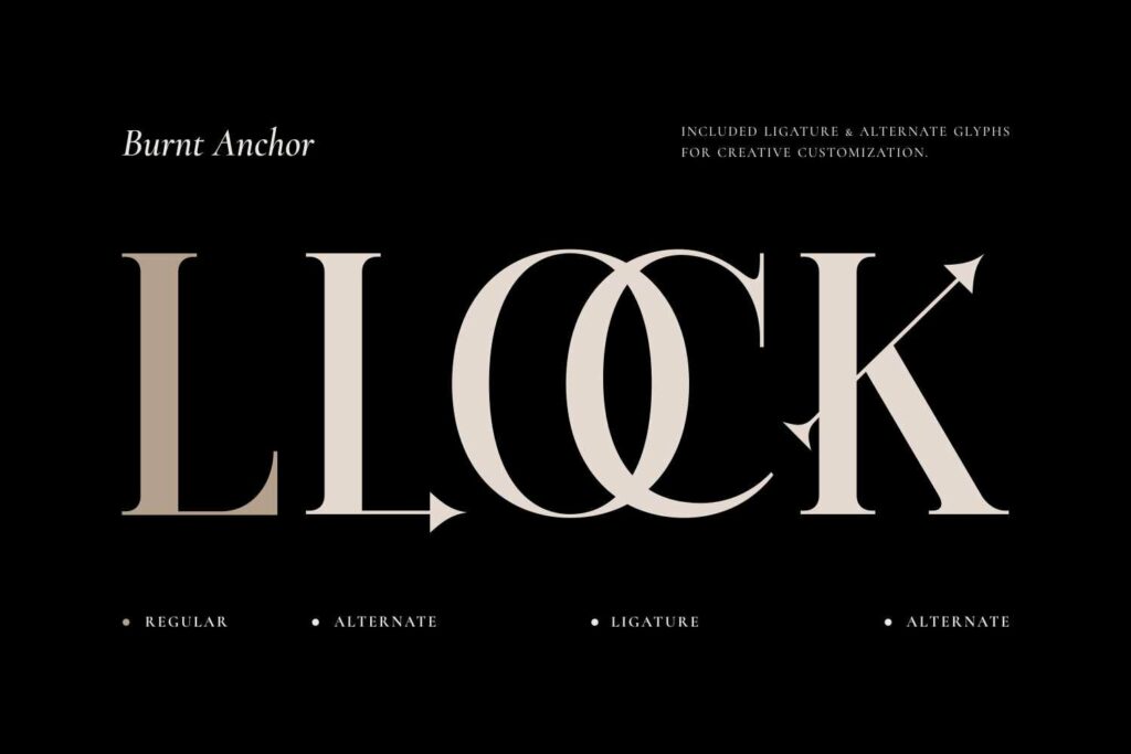 Burnt Anchor - Clean Serif Fonts – MasterBundles