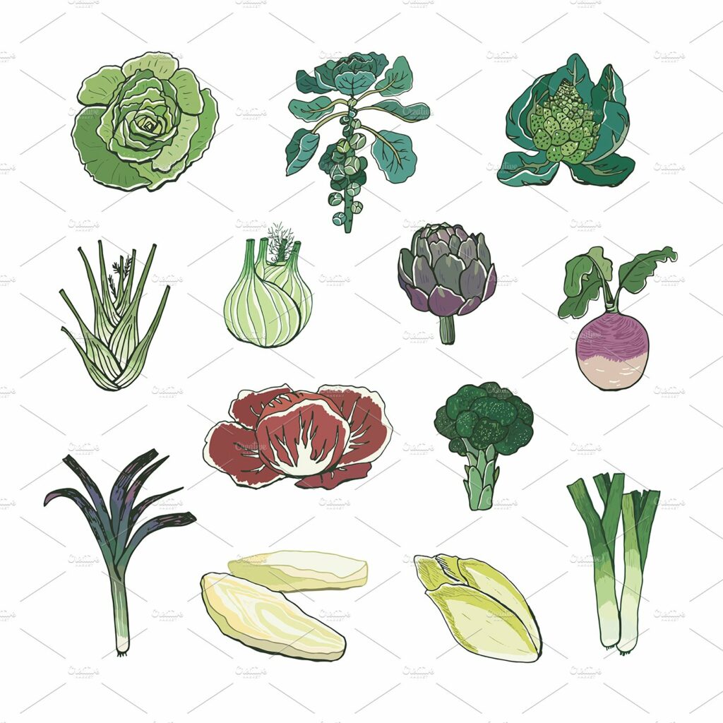 100 Color Vegetables – MasterBundles