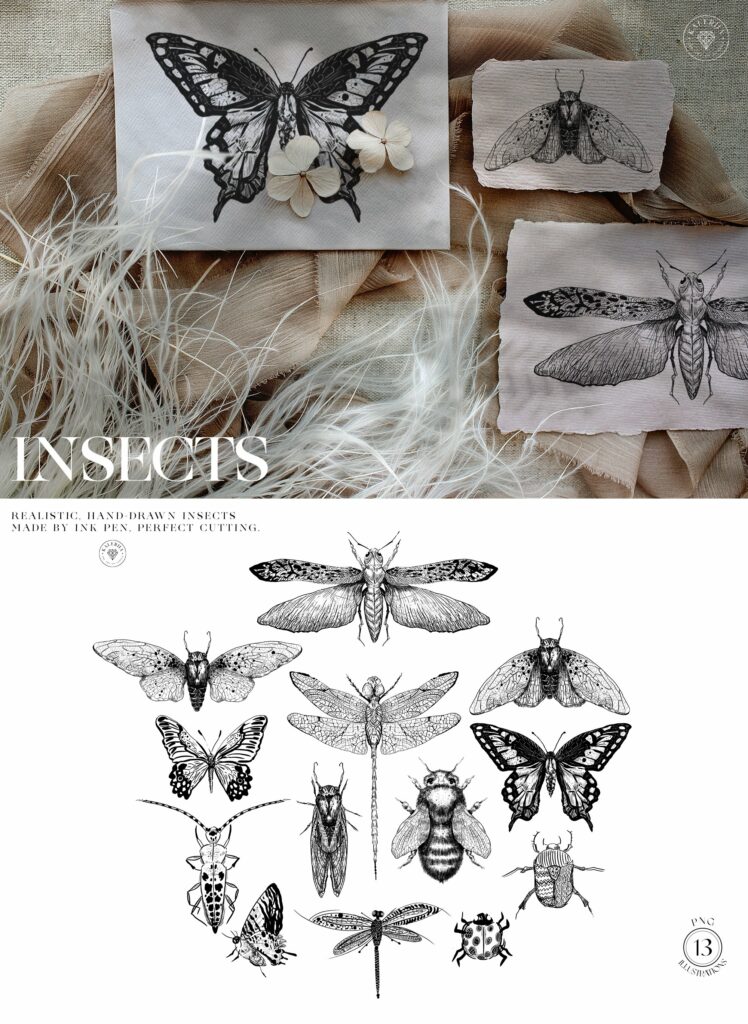 Cicada - Insects & Flowers Ink Set – MasterBundles