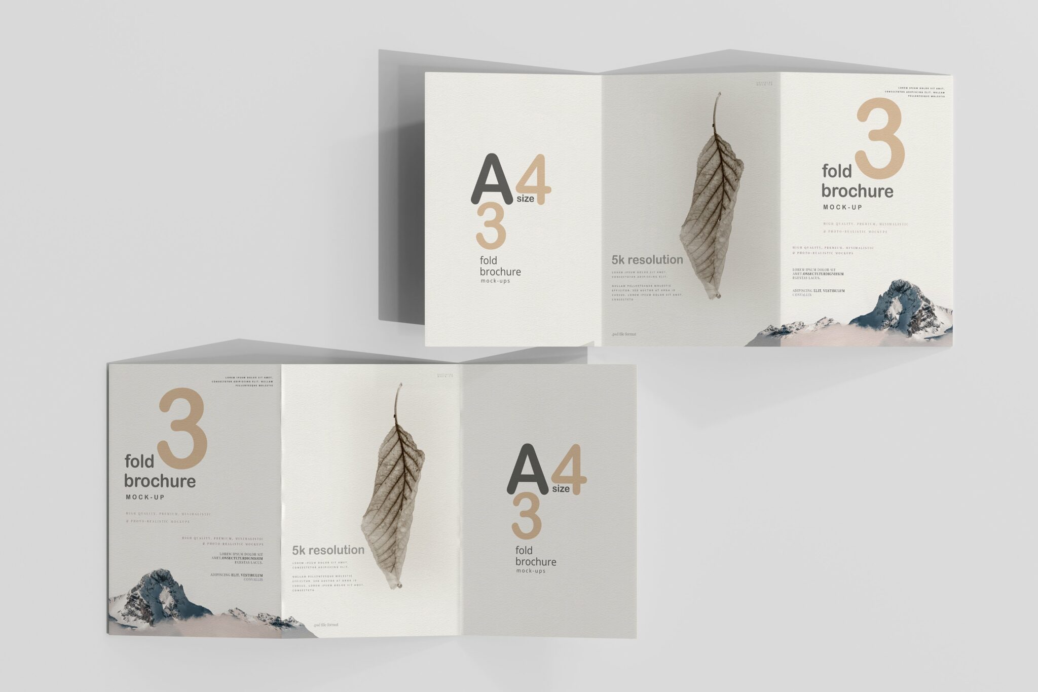 A4 Size Tri-Fold Brochure Mockup – MasterBundles