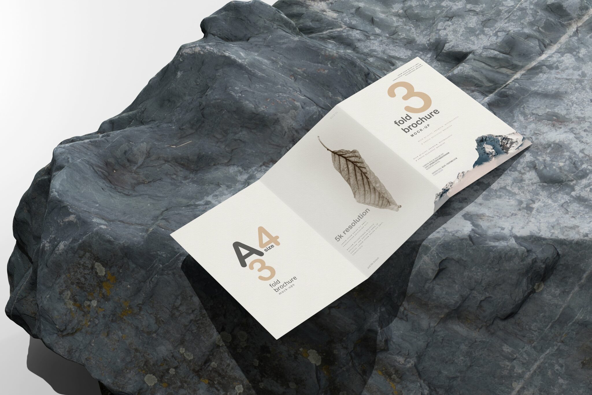 A4 Size Tri-Fold Brochure Mockup – MasterBundles