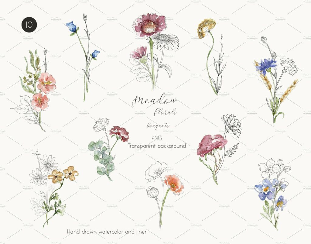Watercolor Meadow Florals Collection – MasterBundles