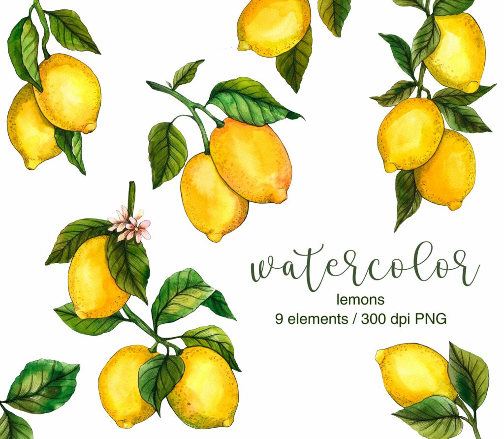 Watercolor Lemons Collection – MasterBundles