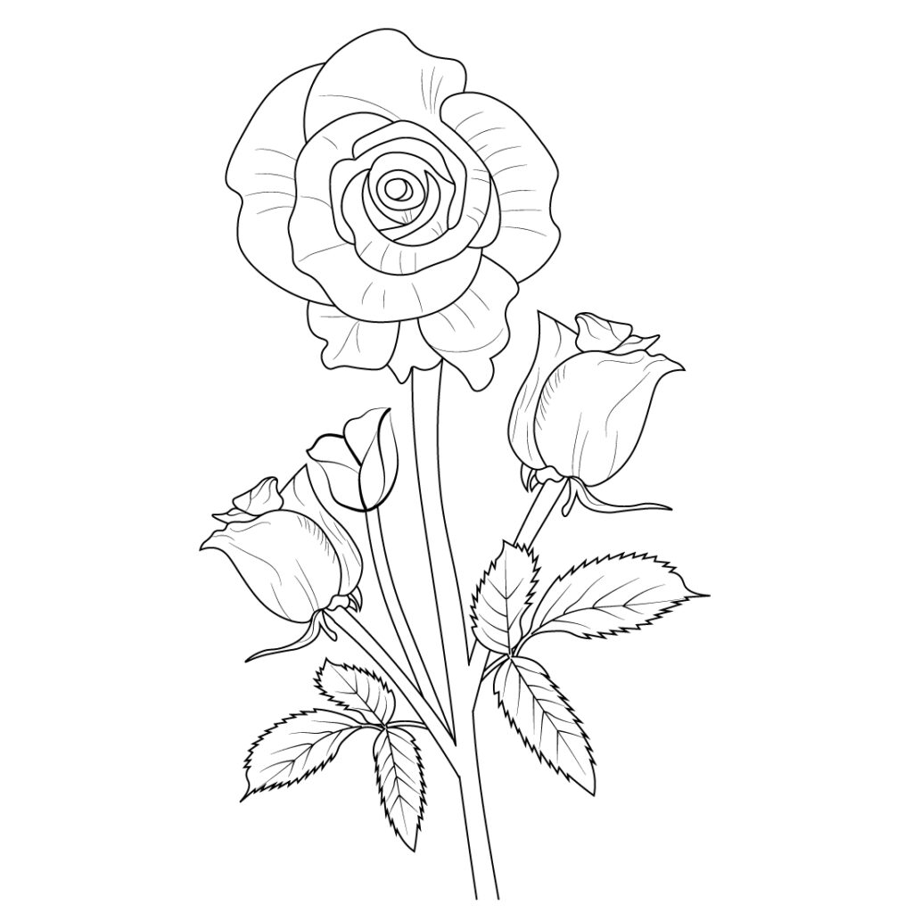 rose flower drawing for kids, pencil rose drawing for kids, flower rose ...