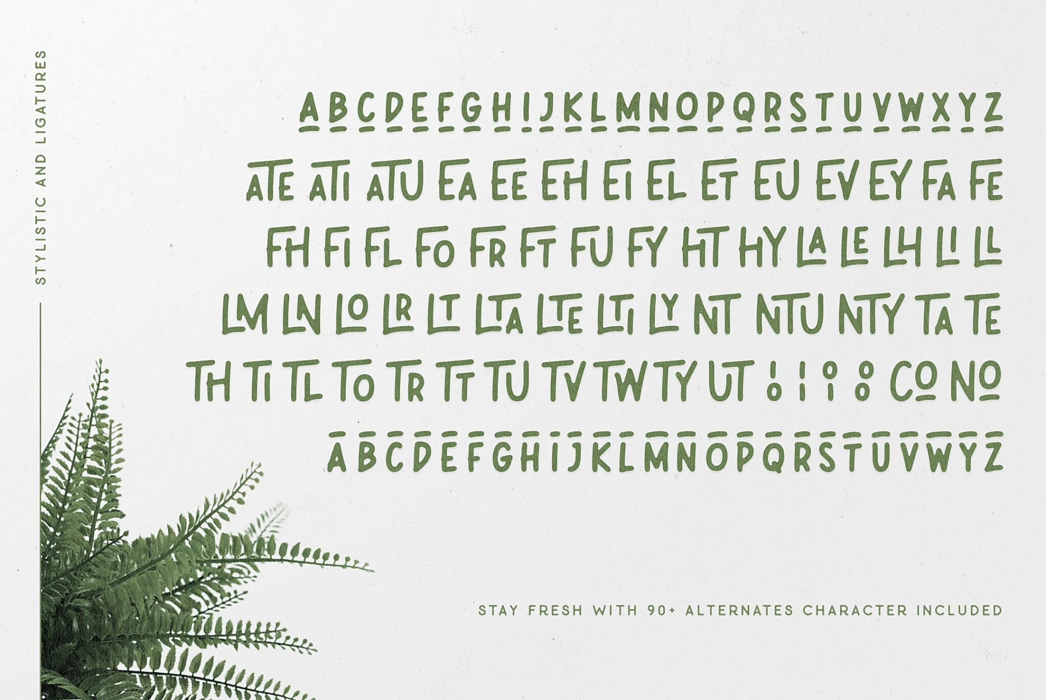 Leafy Plant Fun Typeface – MasterBundles