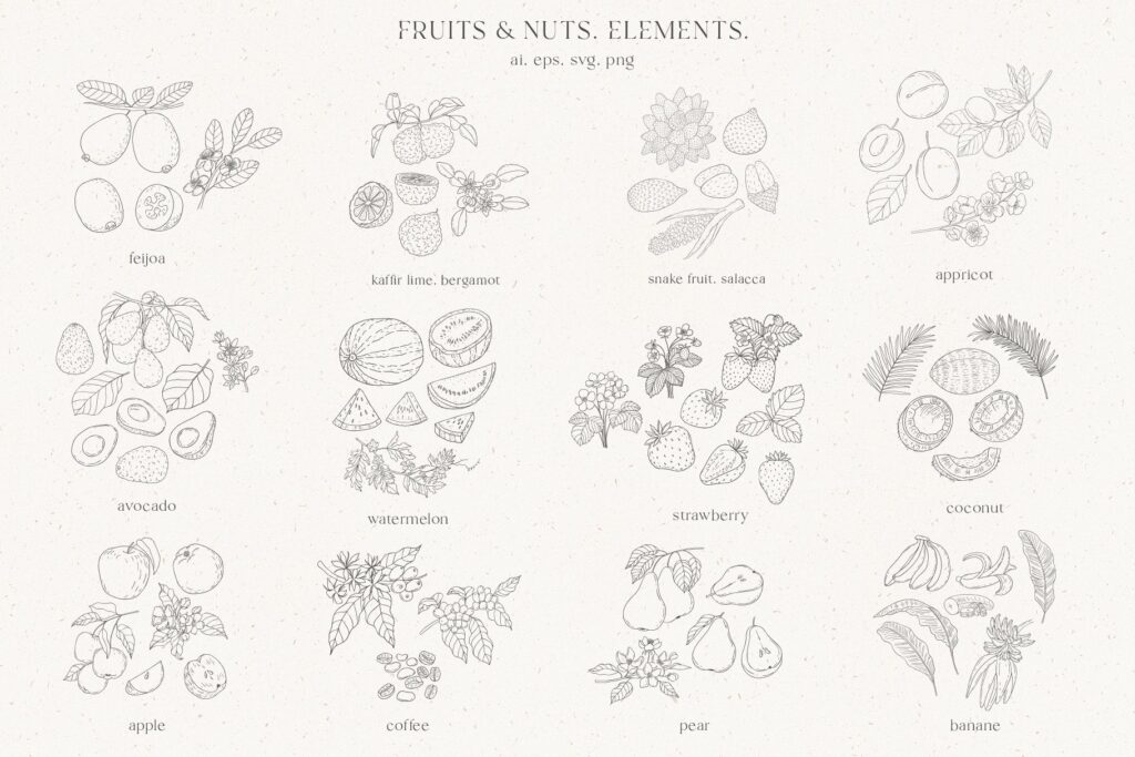 Fruits & Flowers. Nuts & Berries. – MasterBundles