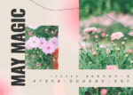 Free Magic May Calendar – MasterBundles