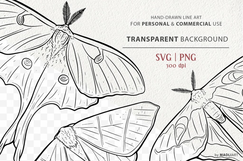 Moth Vector Clipart Bundle – MasterBundles