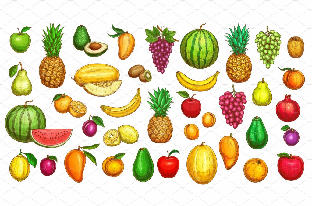 Fruits sketch icons, farm fruits – MasterBundles