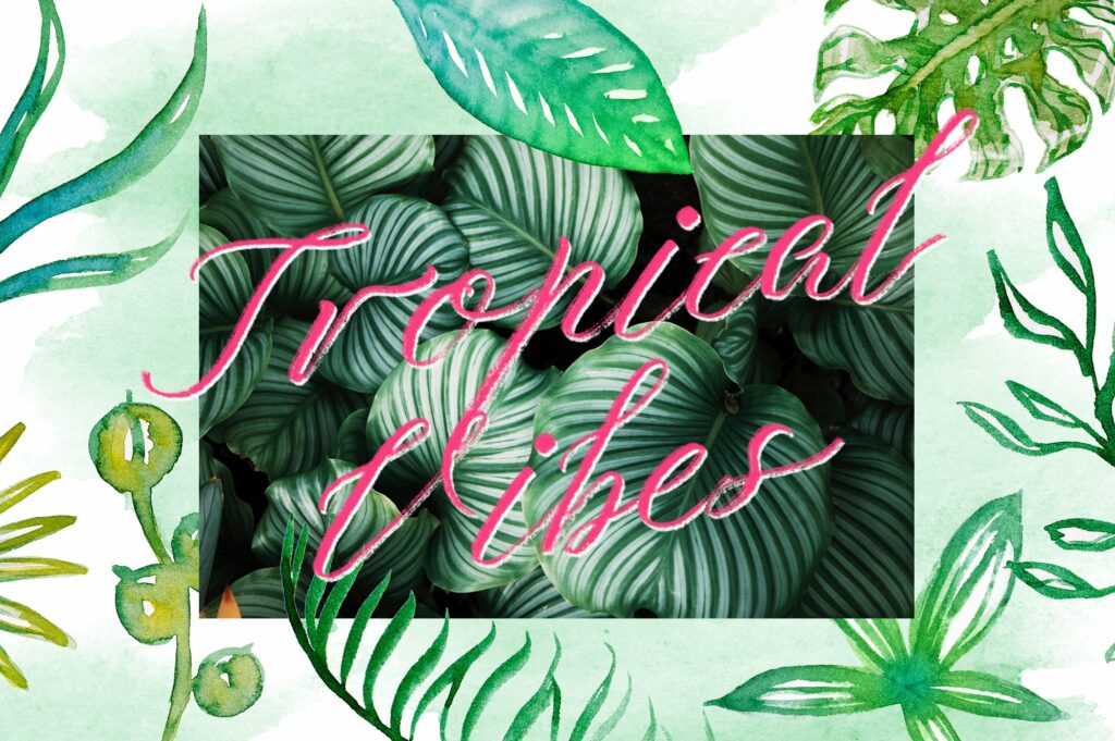 Watercolor Tropics | Script Font – MasterBundles