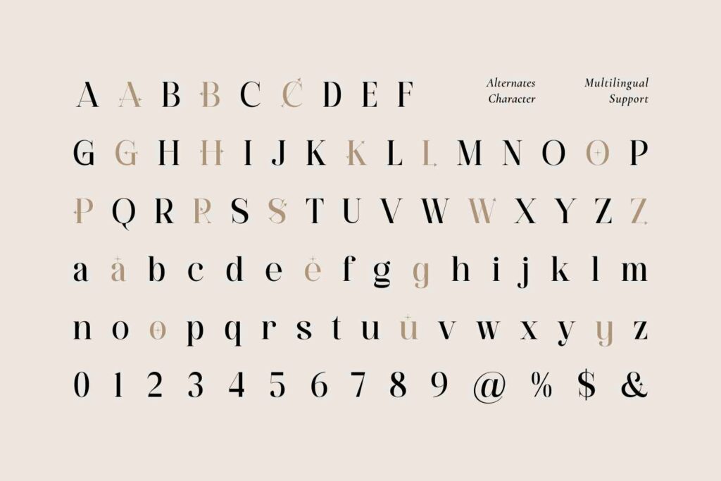 Burnt Anchor - Clean Serif Fonts – MasterBundles