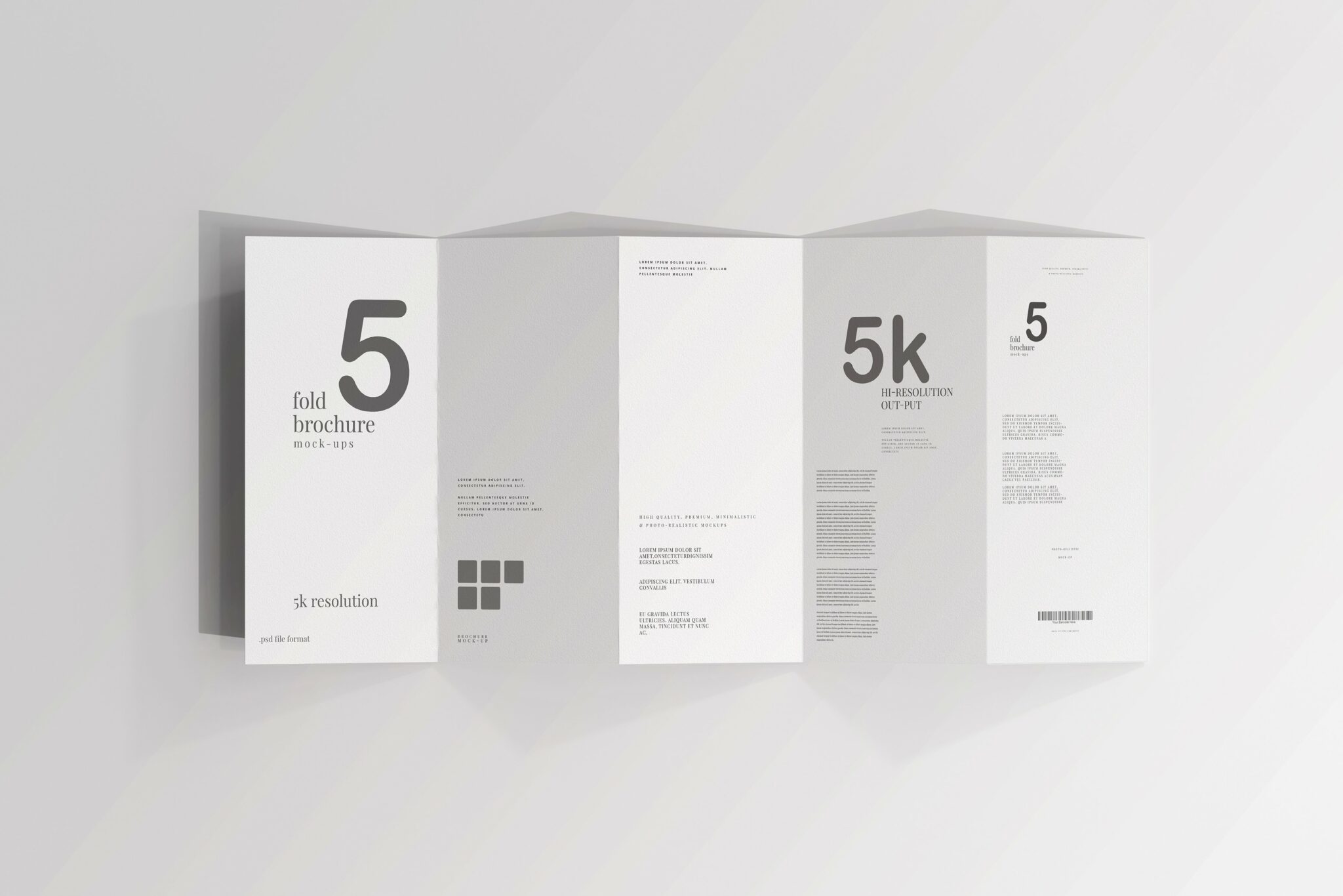 DL Size Five-Fold Brochure Mockup – MasterBundles