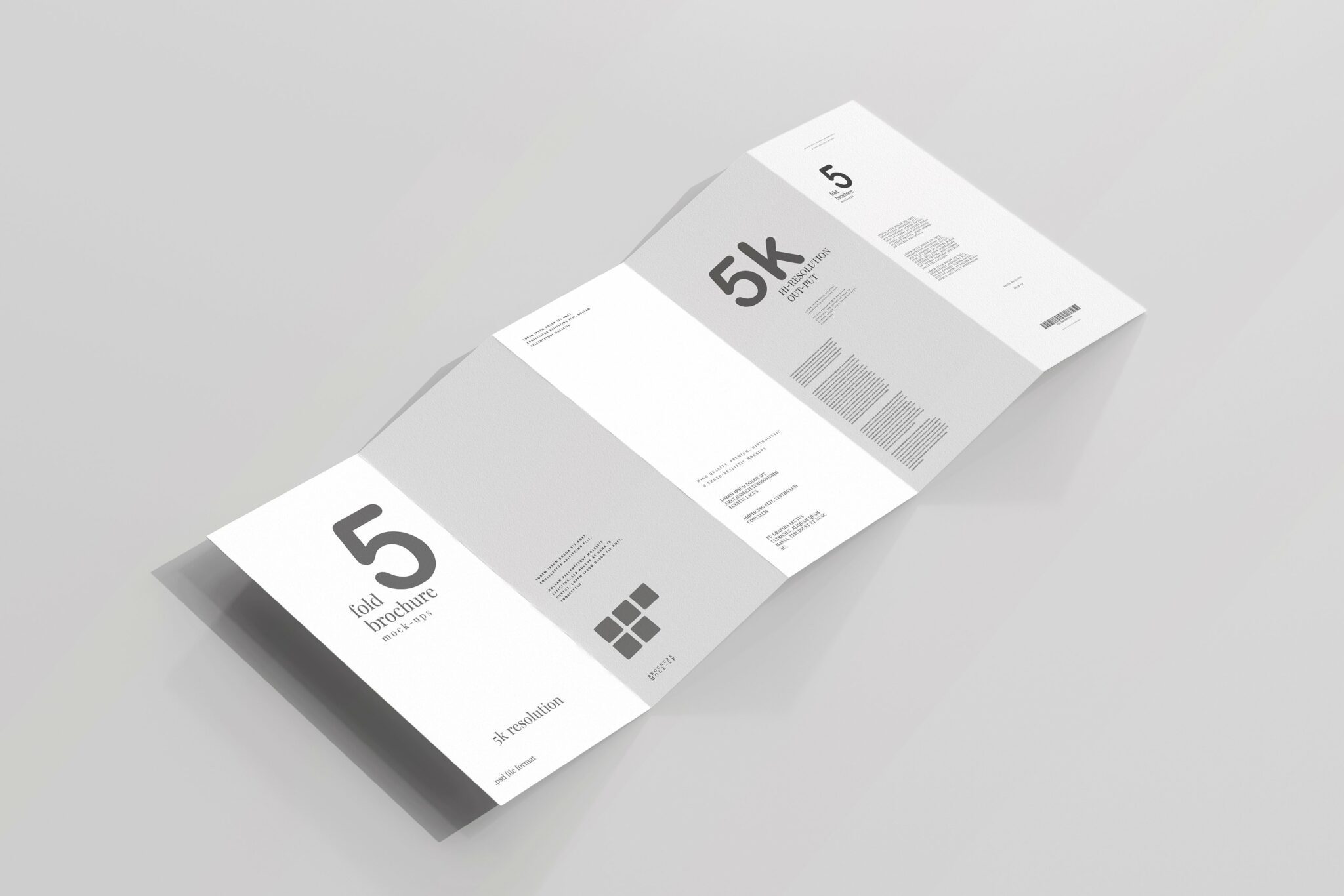 DL Size Five-Fold Brochure Mockup – MasterBundles