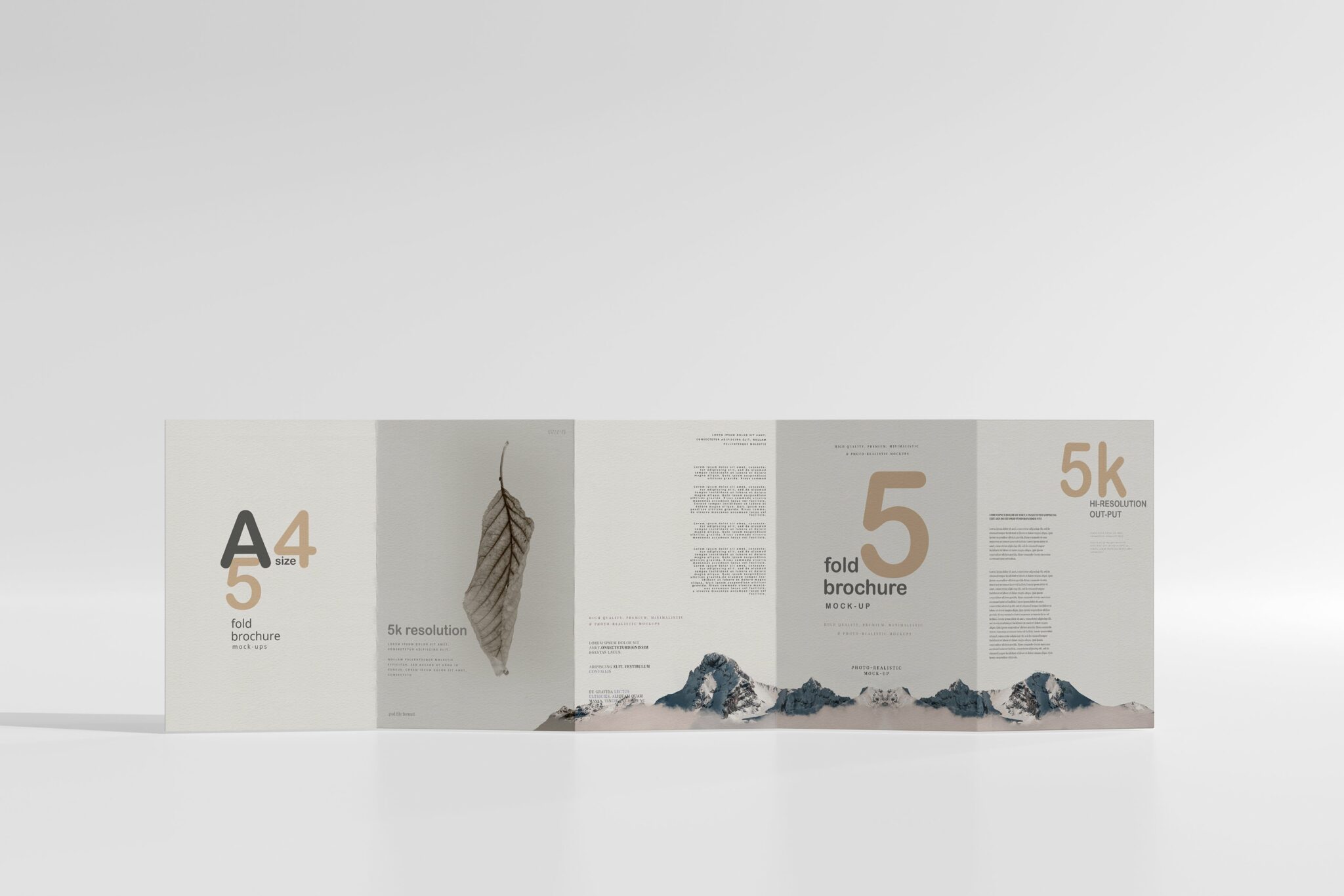 A4 Size Five Fold Brochure Mockup – MasterBundles