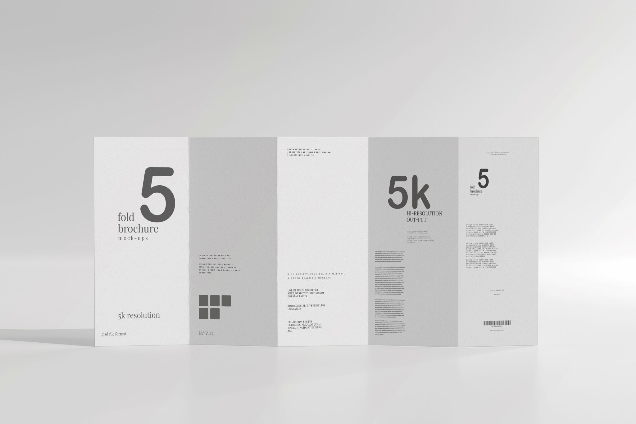 DL Size Five-Fold Brochure Mockup – MasterBundles