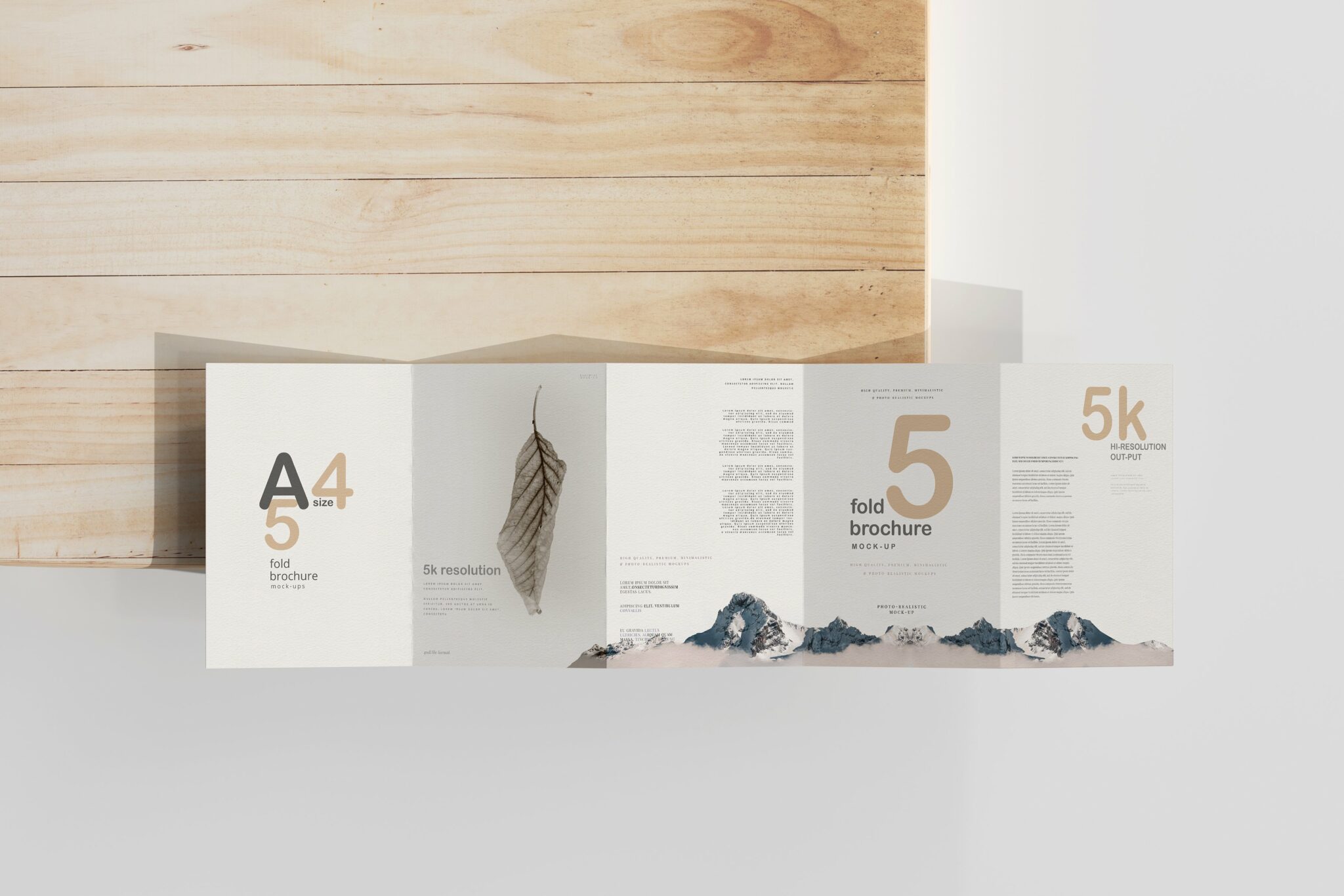 A4 Size Five Fold Brochure Mockup – MasterBundles