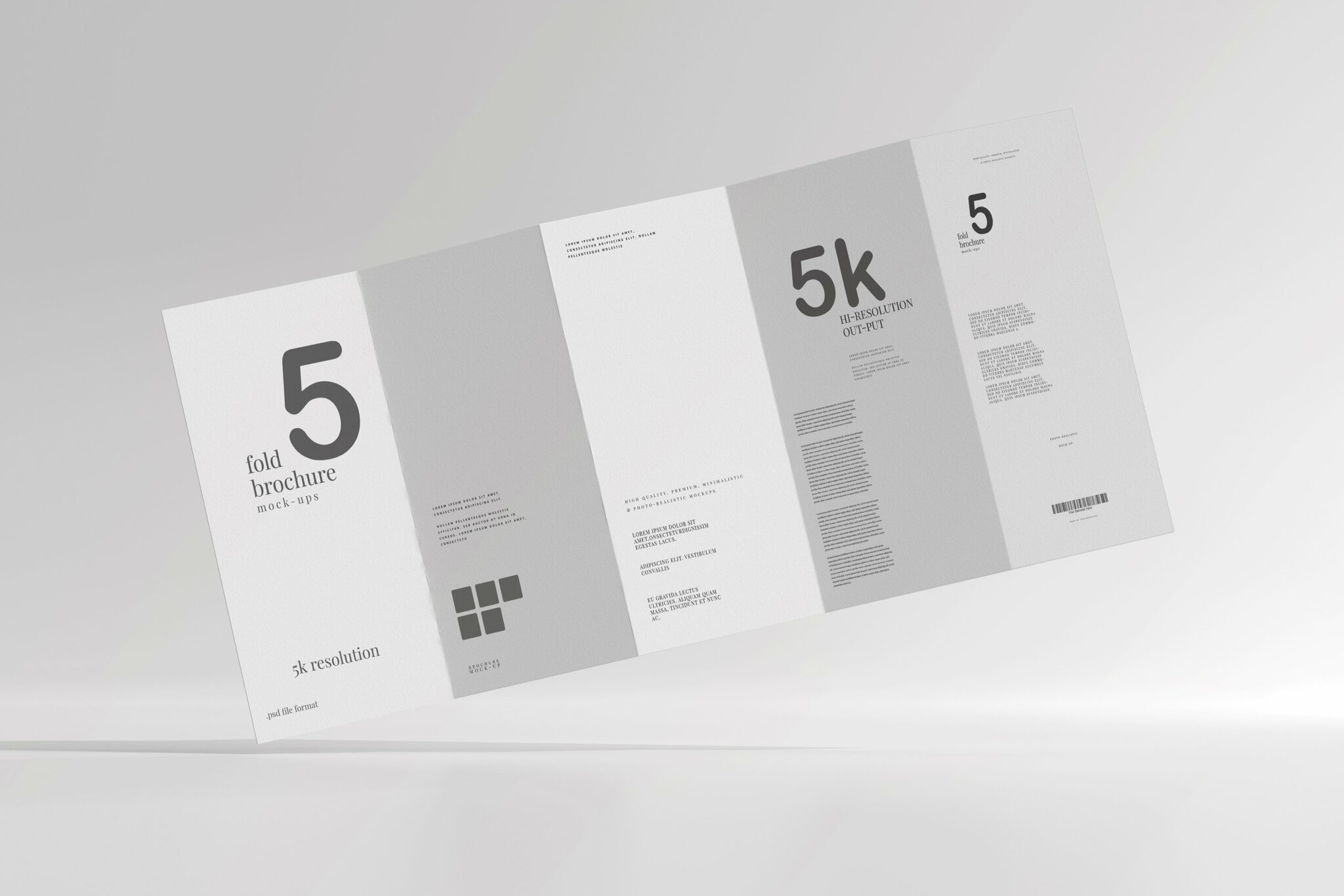 DL Size Five-Fold Brochure Mockup – MasterBundles