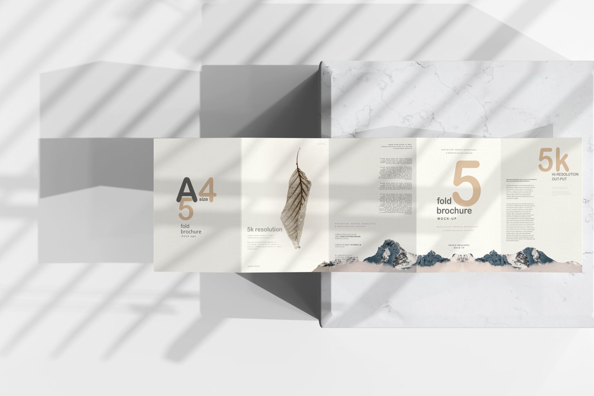 A4 Size Five Fold Brochure Mockup – MasterBundles