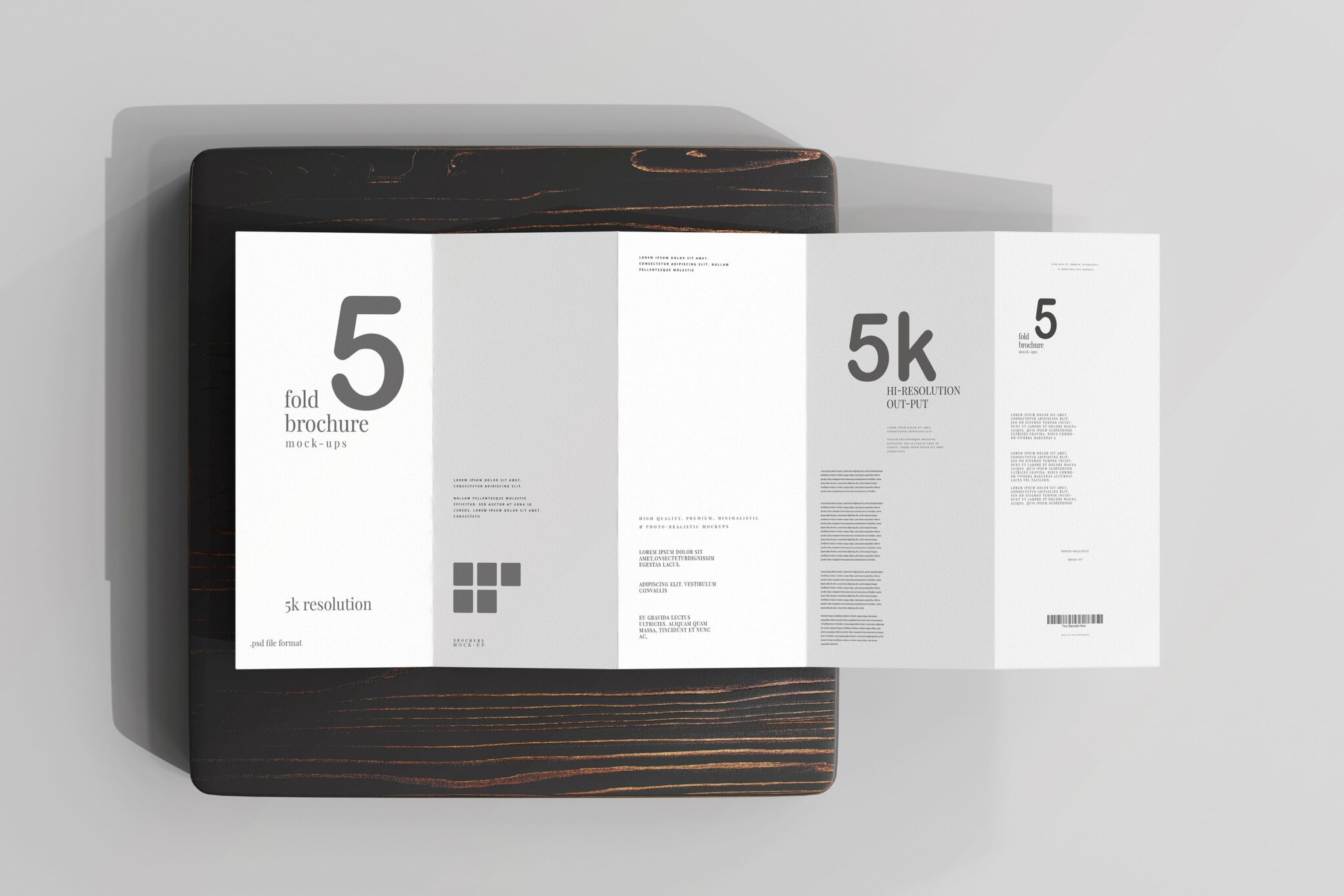 DL Size Five-Fold Brochure Mockup – MasterBundles