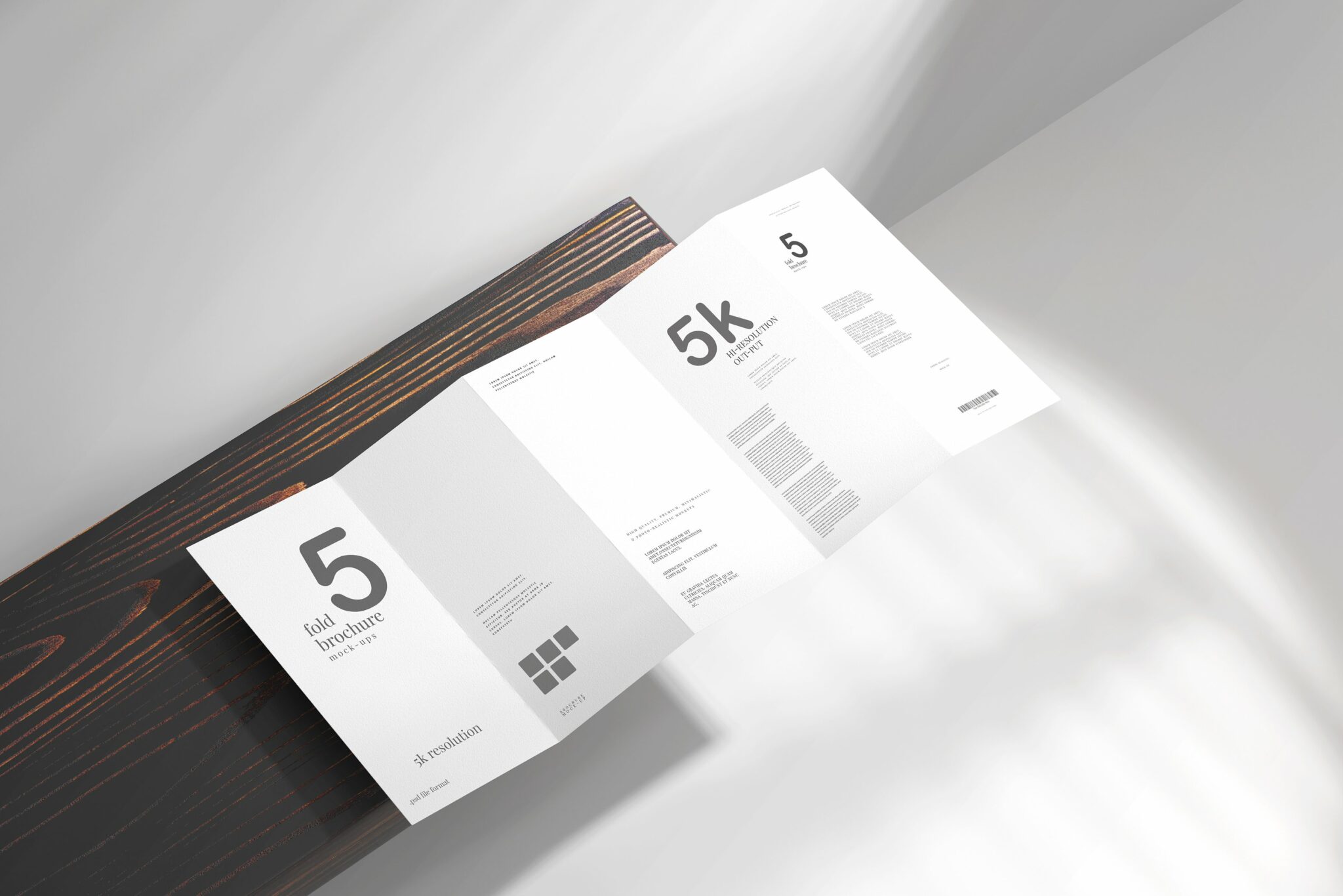DL Size Five-Fold Brochure Mockup – MasterBundles
