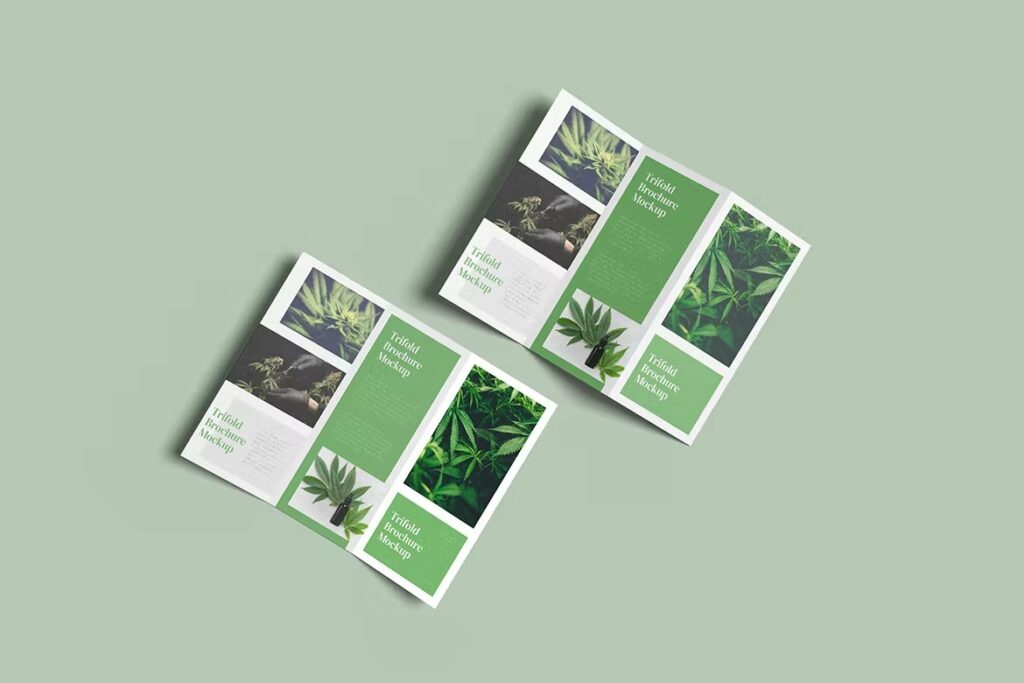 Health Trifold Brochure Mockup – MasterBundles