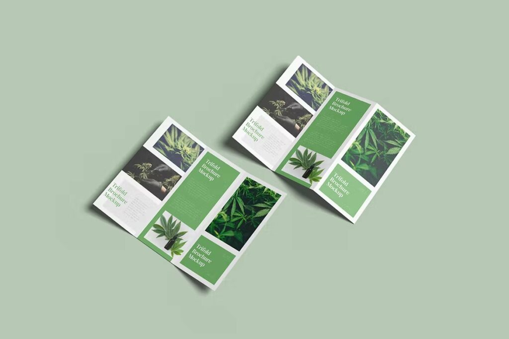 Health Trifold Brochure Mockup – MasterBundles