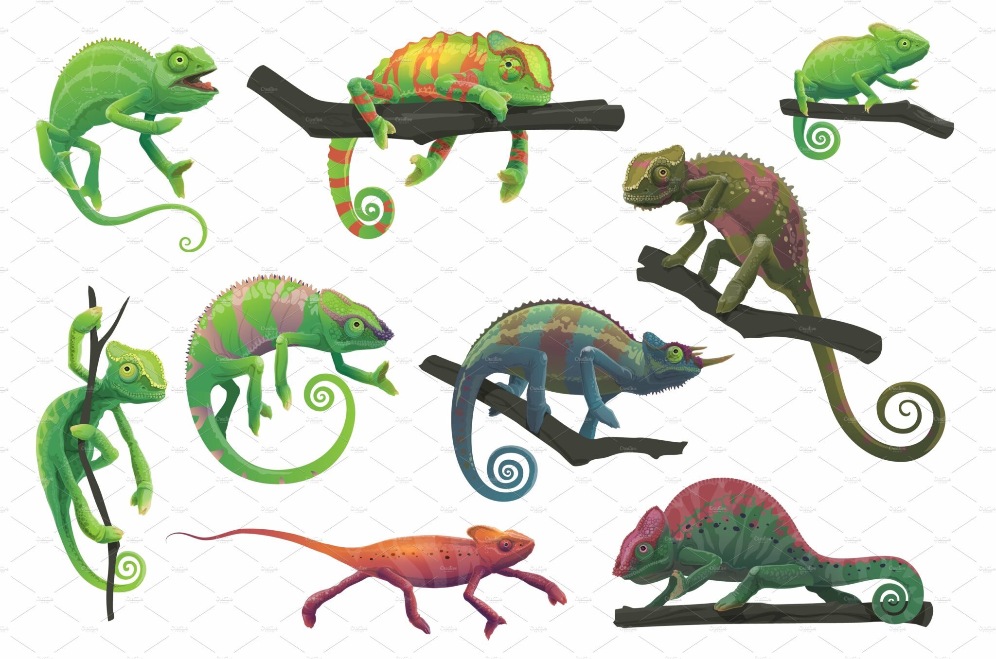 Chameleon lizards reptile animals – MasterBundles