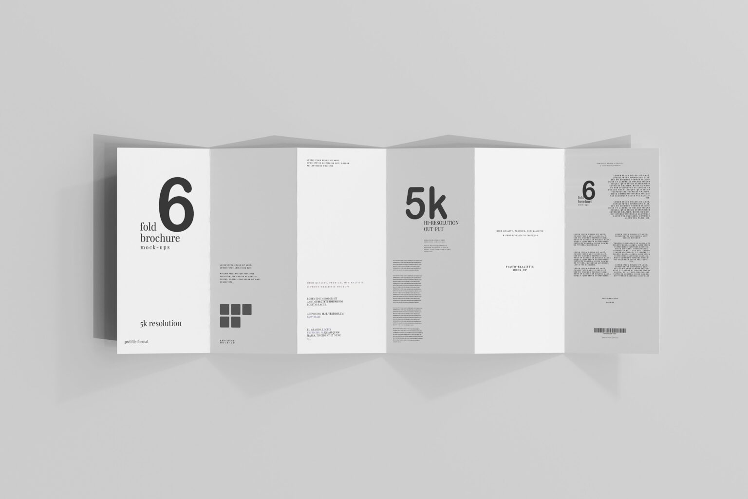 DL Size Six-Fold Brochure Mockup – MasterBundles