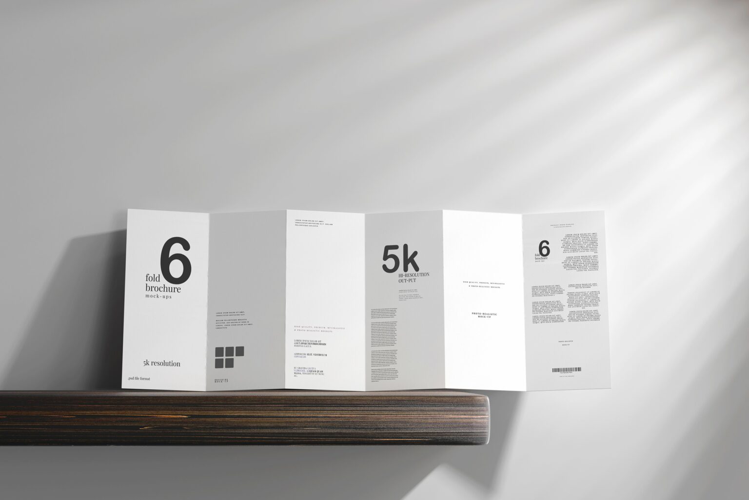DL Size Six-Fold Brochure Mockup – MasterBundles