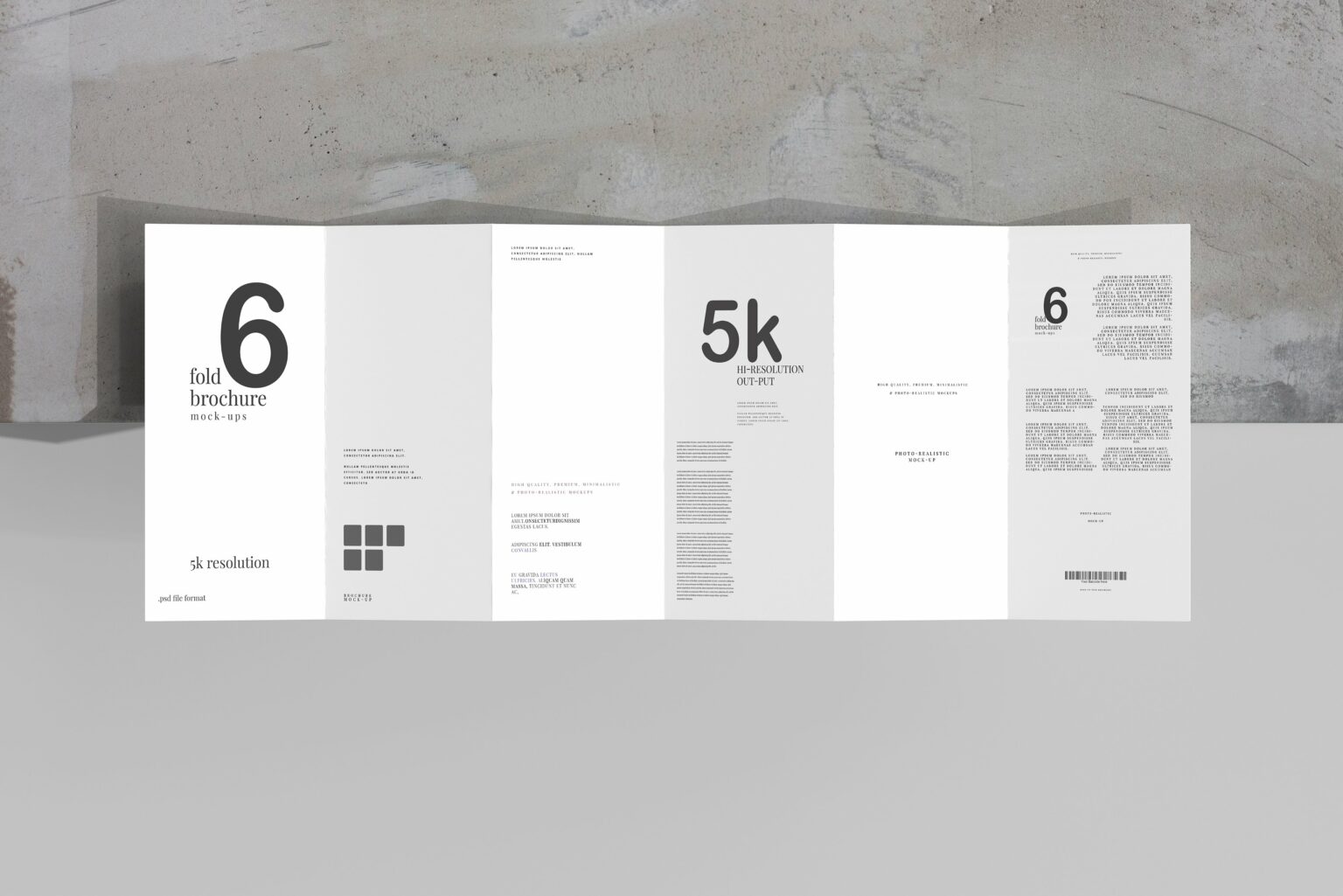 DL Size Six-Fold Brochure Mockup – MasterBundles