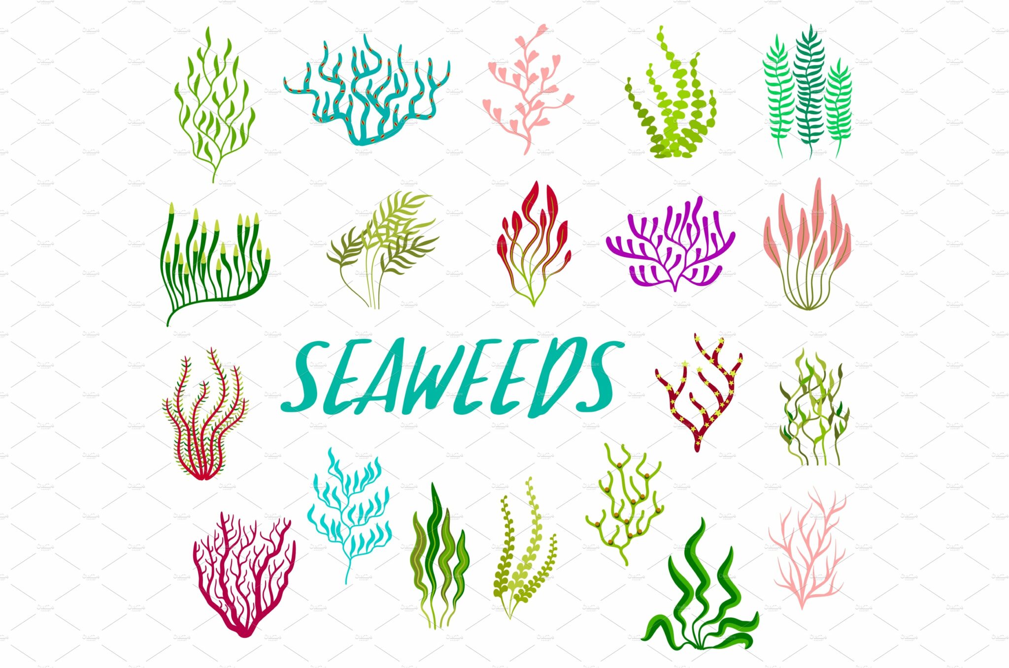 Underwater seaweed plants – MasterBundles