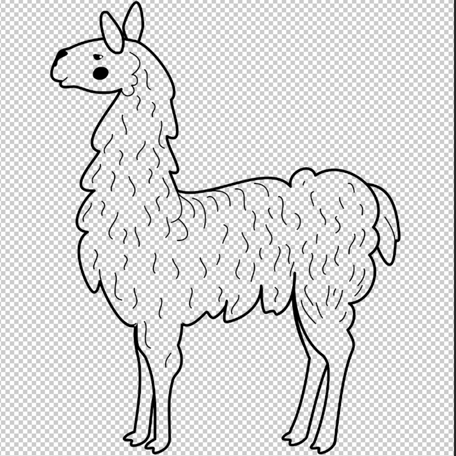Llama and alpaca vector clip art – MasterBundles