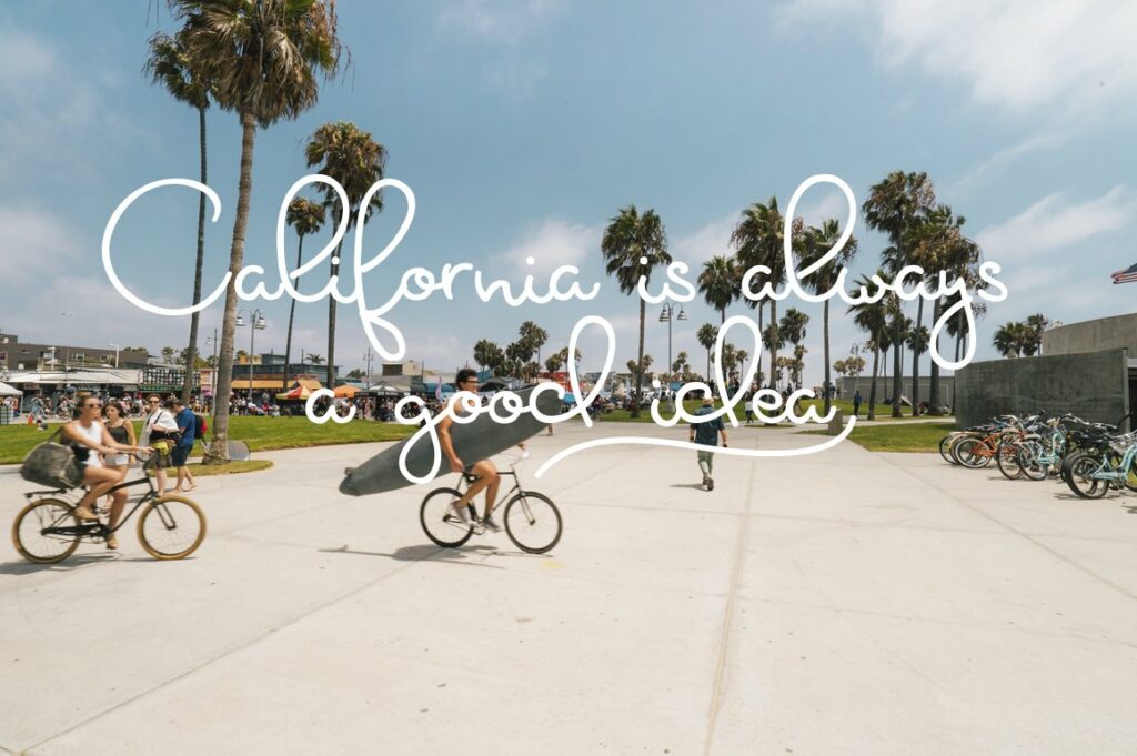 Sailor Jack Script – MasterBundles